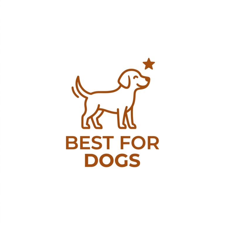 Raw Feeding for Dogs UK: A Complete Guide (2026) - Best For Dogs UK